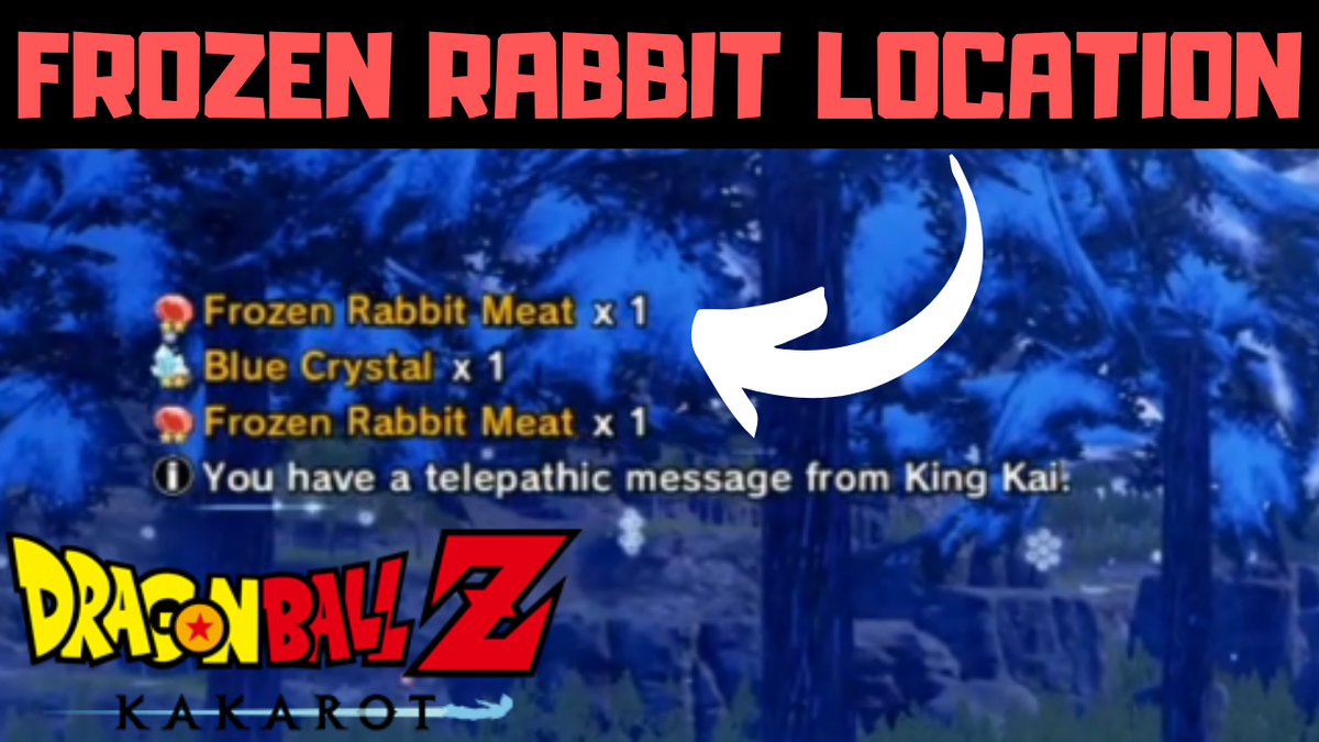 Frozen Rabbit Meat - DBZ Kakarot